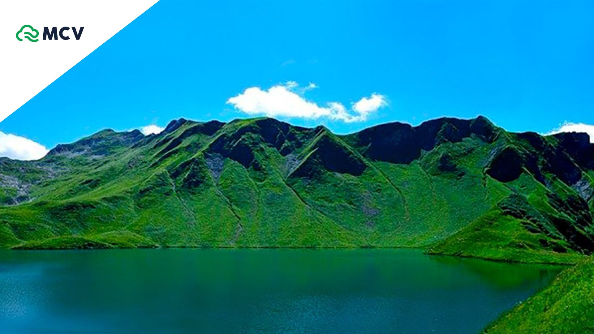 Nuestro compromiso con el medio ambiente